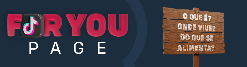 For You Page: o que é? Onde vive? Do que se alimenta? - Chuva Comunica